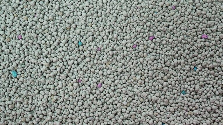 Litter Types | The Cat Litter Expert